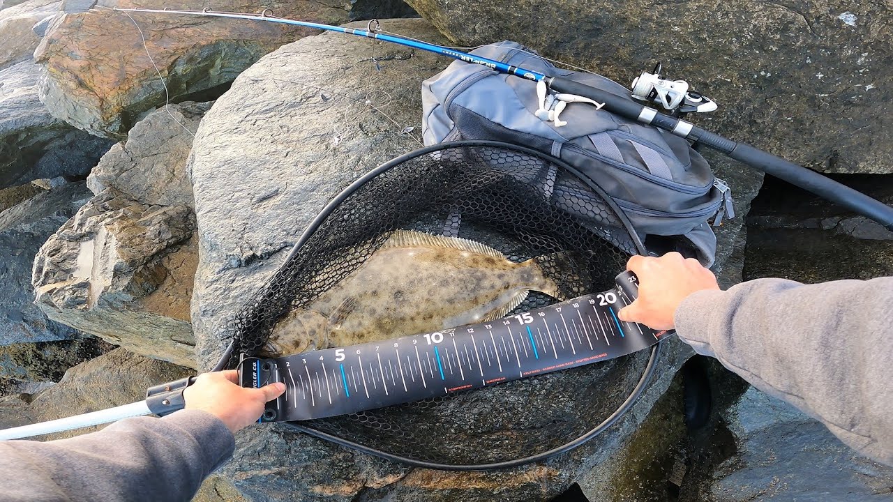 The ALABAMA rig is a HALIBUT angler's BEST friend! - YouTube