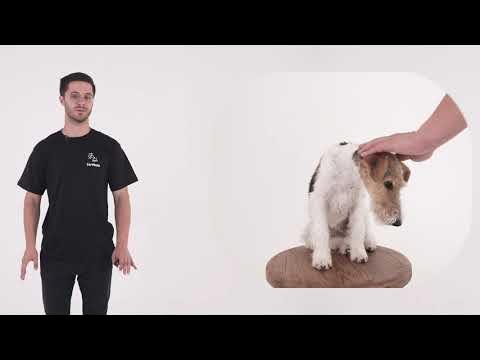 TIPS FOR AN EFFICIENT USAGE - YouTube