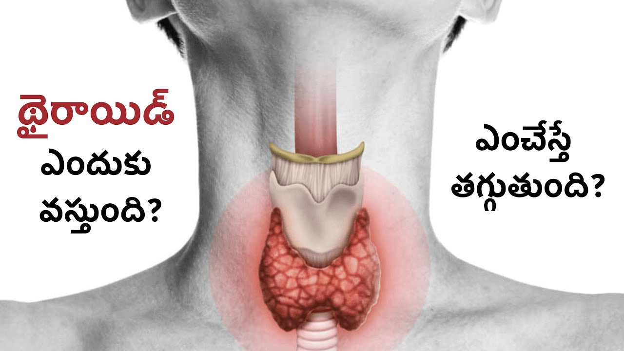 Salt cause Thyroid Problem?! Natural Treatment for Thyroid Problem ...