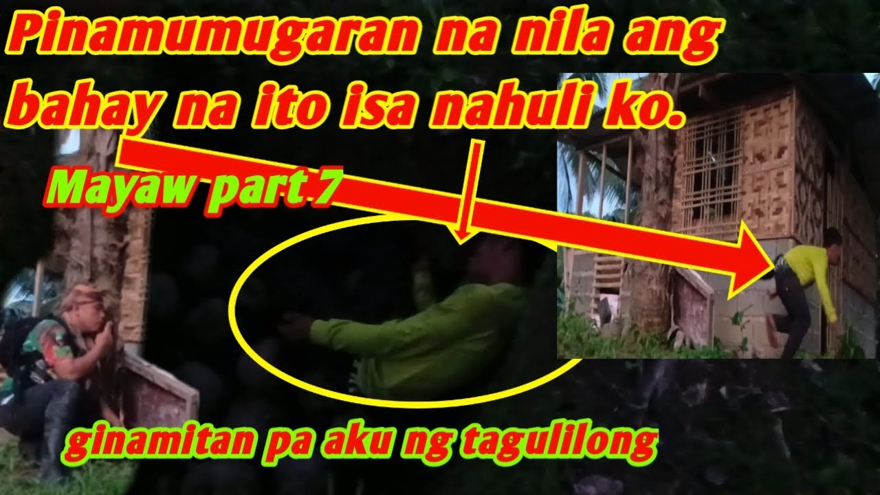 Tagulilong ko huli ang isang mayaw, dito na sila namumugad @bims ...
