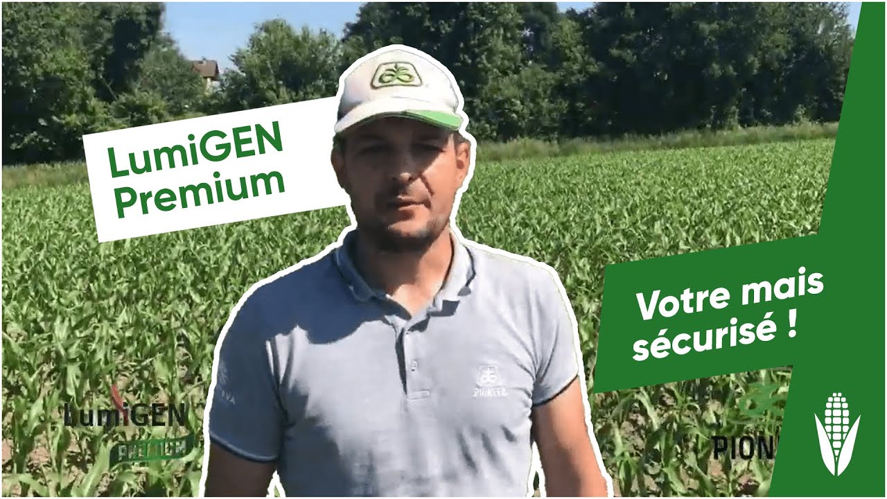 LumiGEN Premium : votre maïs sécurisé - YouTube