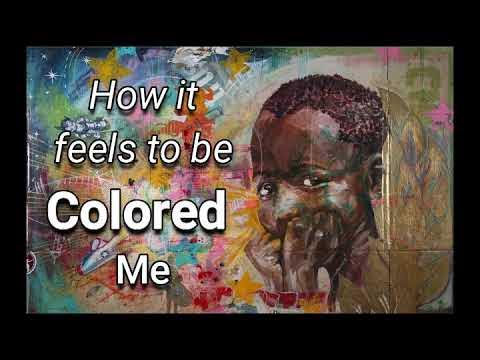 how it feels to be coloured me by Zora Neale Hurston summary - YouTube