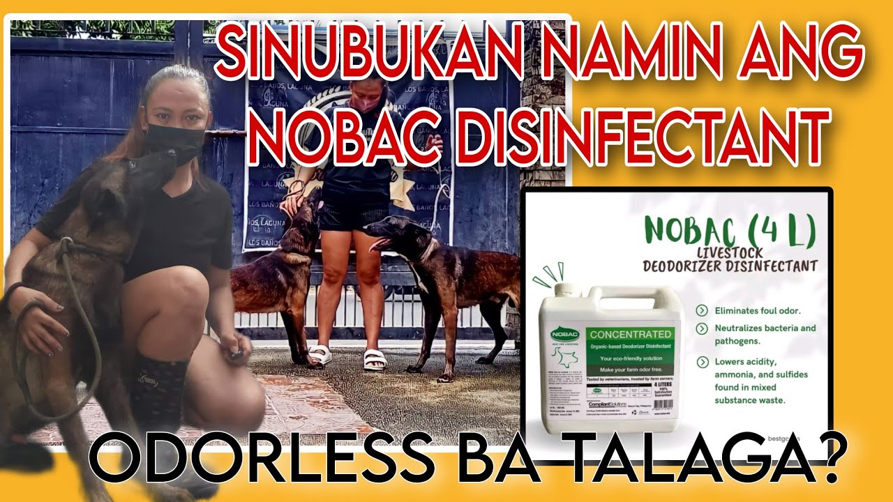 NOBAC ANTIBACTERIAL DISINFECTANT REVIEW FOR ODORLESS ENVIRONMENT ...