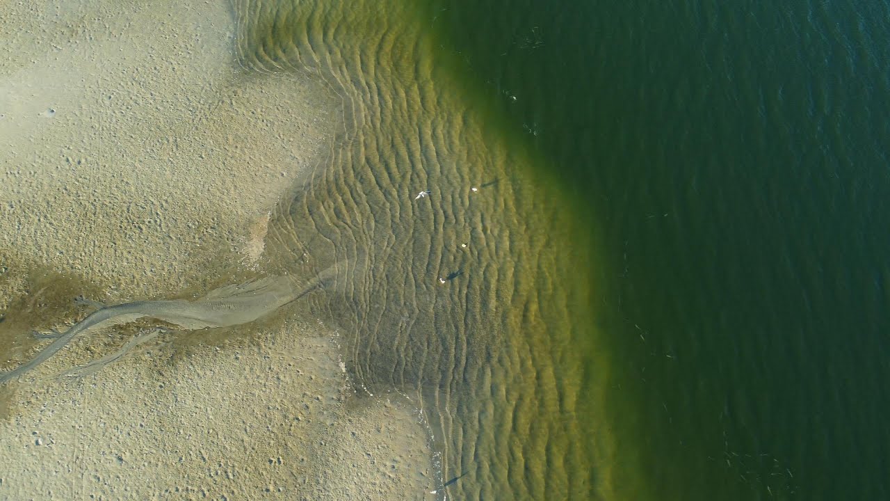 Dauphin Island Mullet Run 2024 4k Drone Footage - YouTube