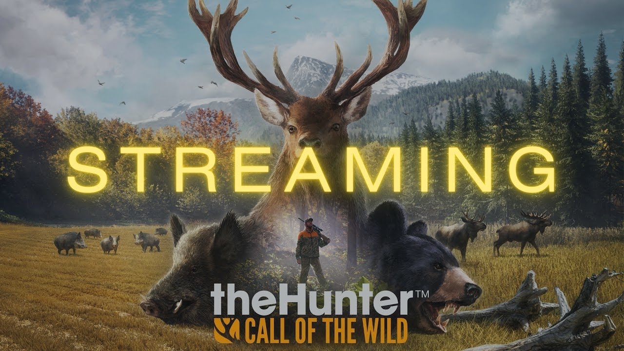 CHILL GAMING STREAM - YouTube