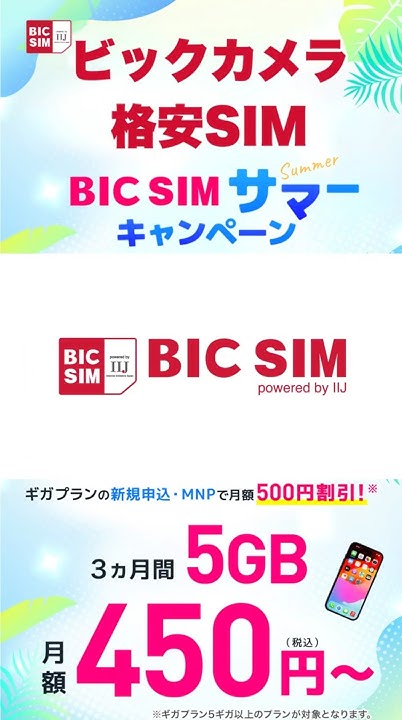 【BIC SIM公式】2025年6月BIC SIMキャンペーン - YouTube