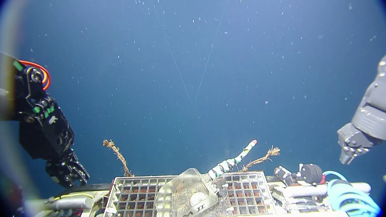 ROV Hercules Dive NA106-H1745-20190510T2125UTC-2 - YouTube