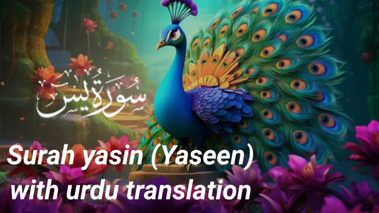 Surah Yasin Yaseen with urdu translation Tilawat e Quran with beautiful ...