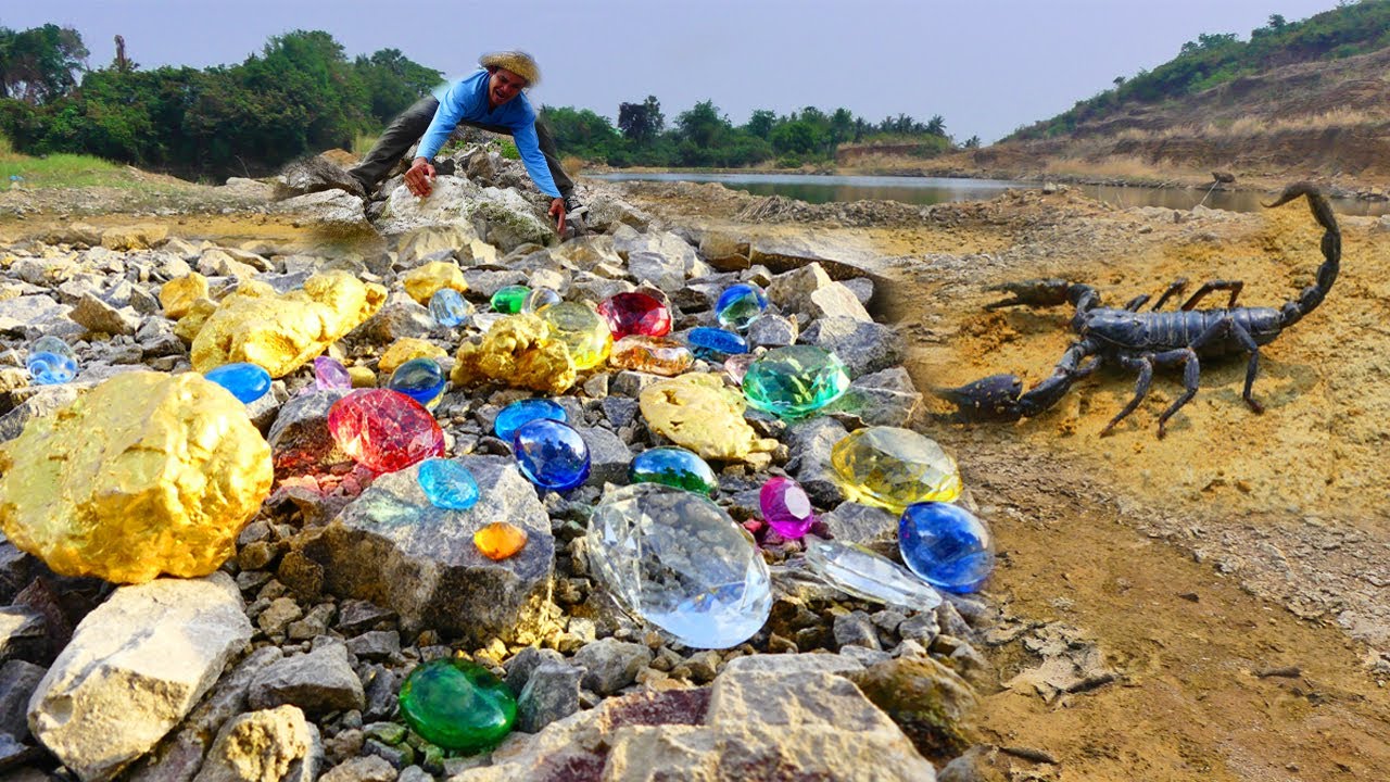 Scorpion guarding gold treasure accidentally found while digging for ...