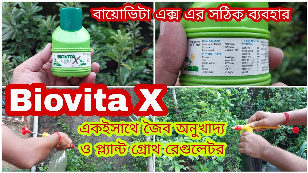 How to use Biovita X /বায়োভিটা এক্স সি উইড এর সঠিক ব্যবহার / Biovita X ...