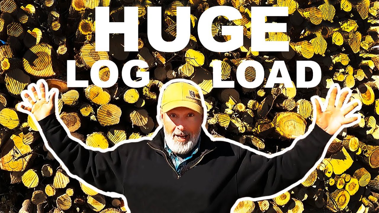 HUGE LOAD OF LOGS DELIVERED! - YouTube
