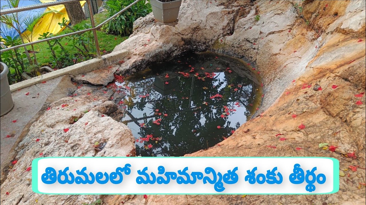 Tirumala Sanku Theertham | Near supadam entry | sanku mitta Tirumala ...