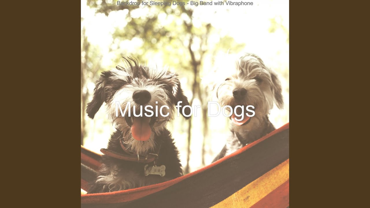 Background for Relaxing Dogs - YouTube