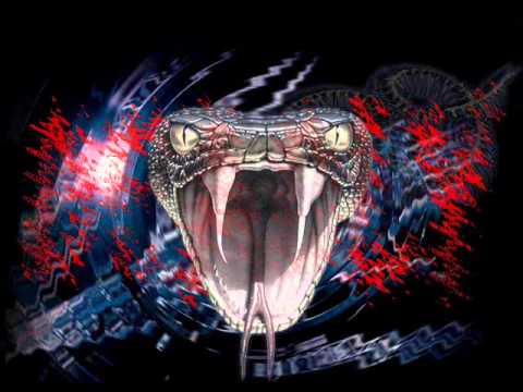 DyVision - Raptail - YouTube