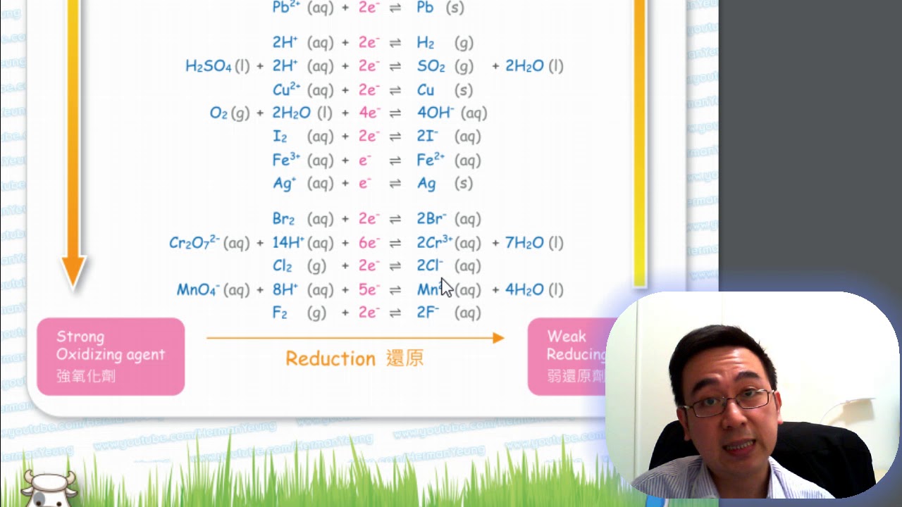 Herman Yeung - HKDSE Chemistry Chapter 07d3 (Redox 氧化還原反應) - YouTube