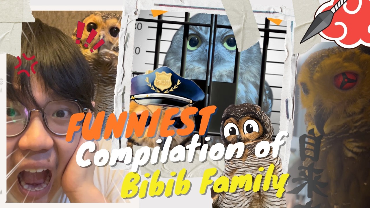 Kompilasi Video Bibib Family Terlucu Part 6 - Funniest Compilation ...