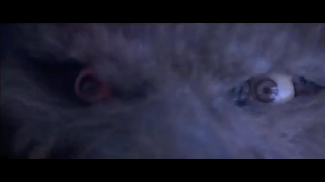 Silver Bullet (1985) The Werewolf Kills Stella - YouTube
