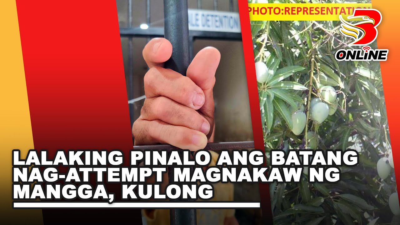 Lalaking pinalo ang batang nag attempt magnakaw ng mangga, kulong - YouTube