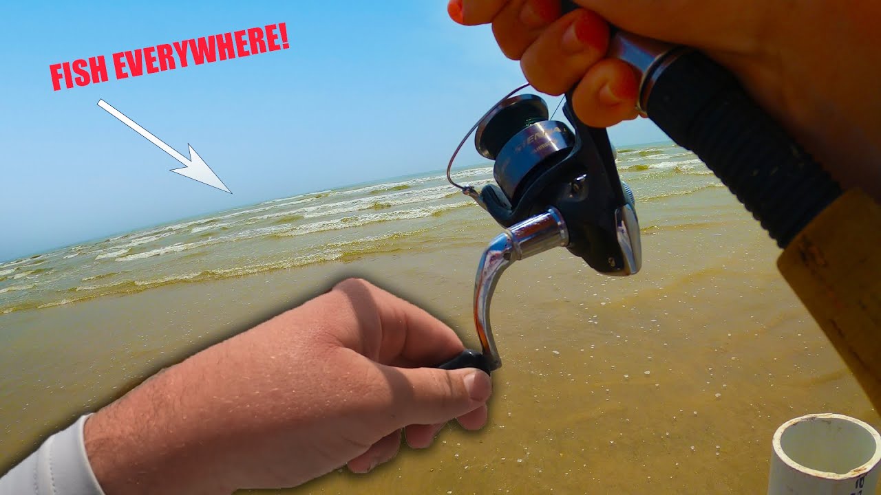 Beach Fishing For Whiting (Catch and cook) Whole Smoked Whiting - YouTube