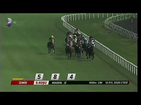 TAY TV Canlı Yayını