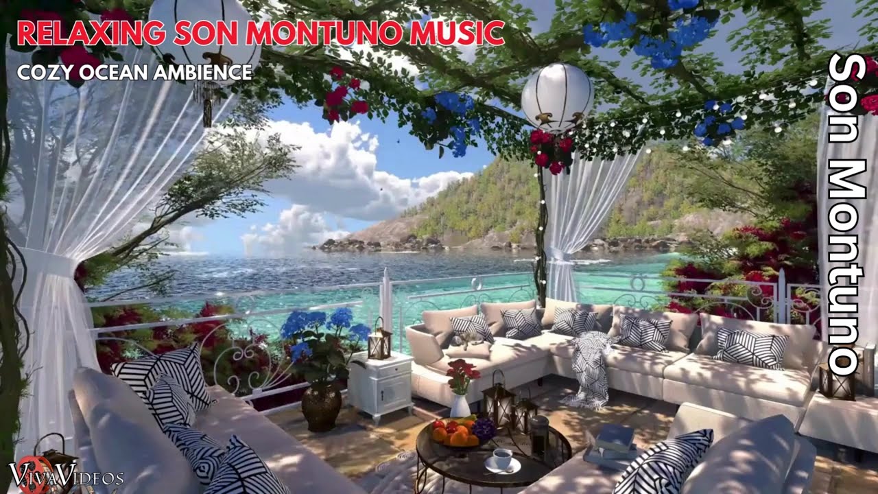 Viva Videos: Lo Mejor del Son Montuno Vol2 | Relaxing Latin #soncubano ...