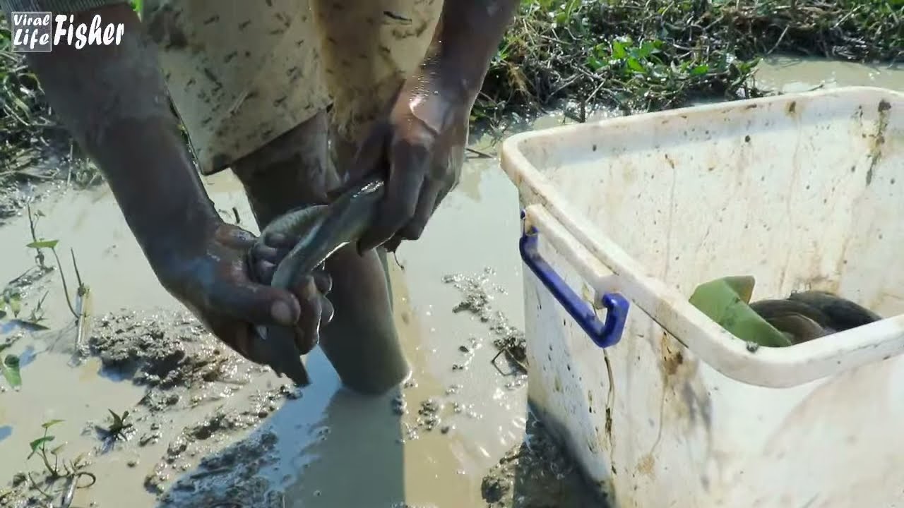 TOP 20 - Best Fishing Ever! Catching Many Fishes by Super Fishing Skill ...