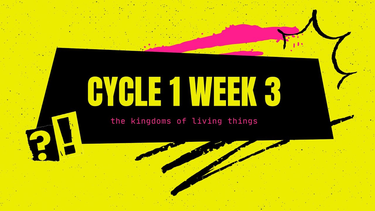 Cycle 1 Week 3 Science - YouTube