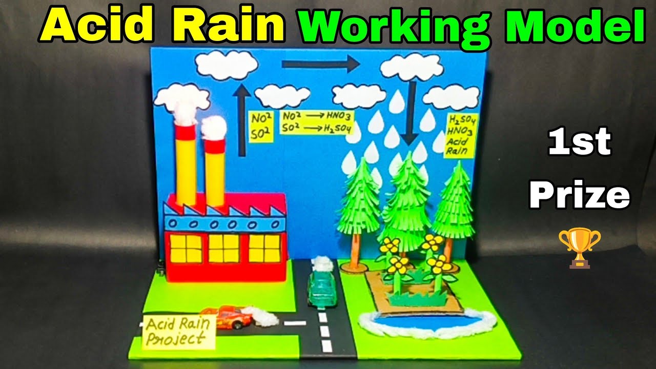 Acid Rain science project working model,School project - Go IT