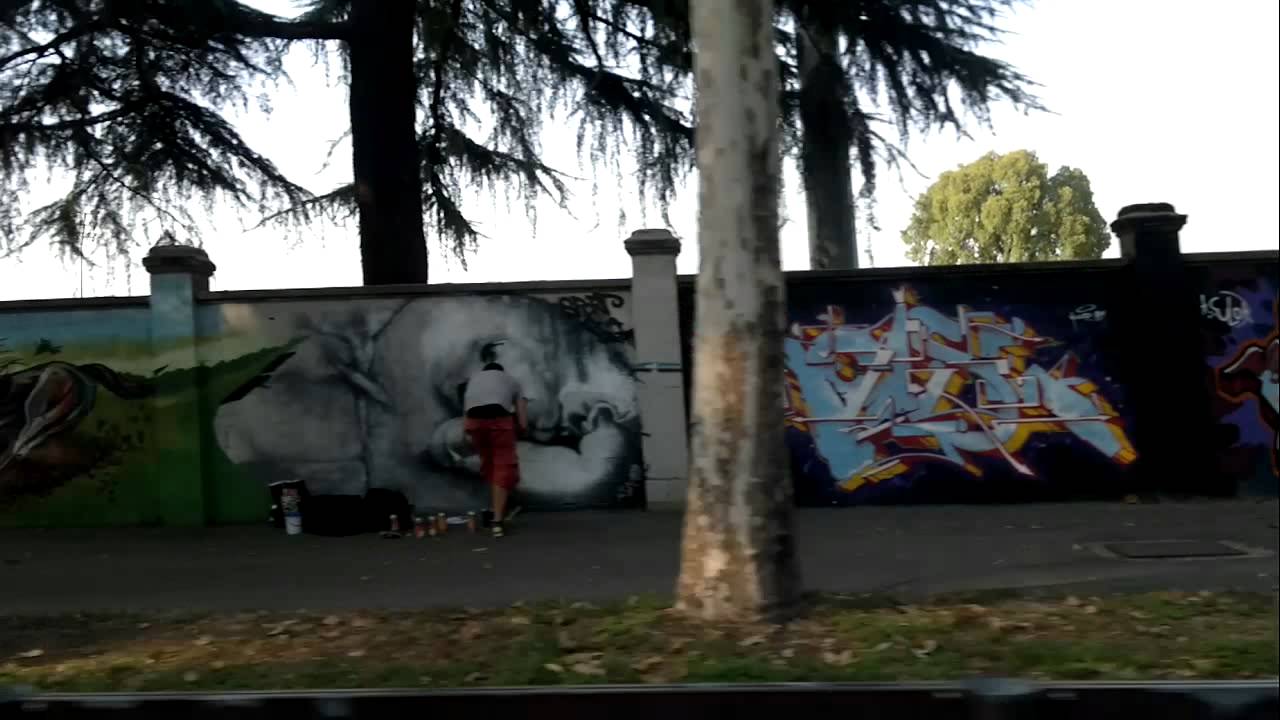 Graffiti a S.Siro - YouTube