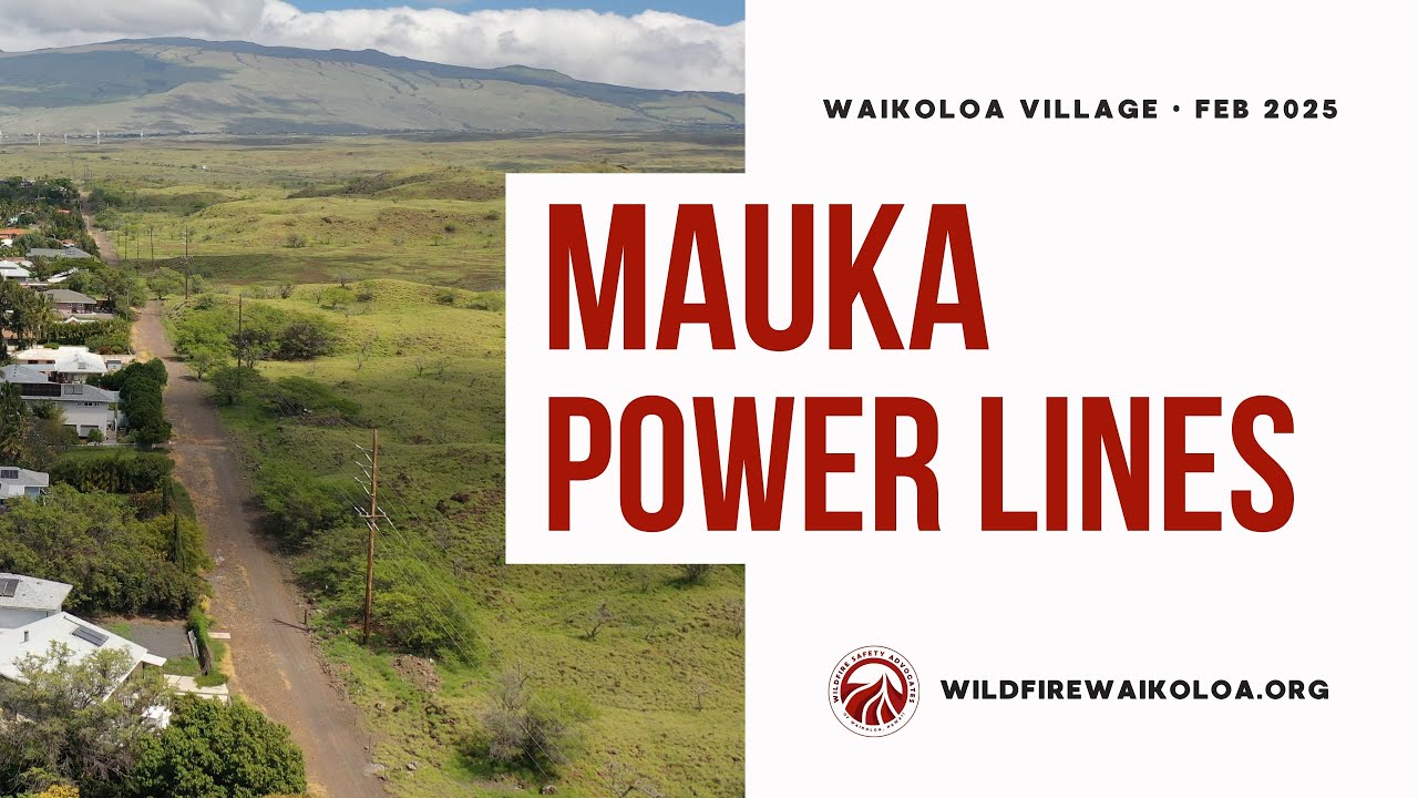 Waikoloa Village Mauka Power Lines February 2025 - YouTube