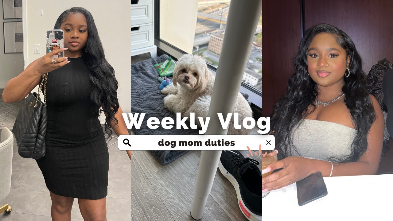 vlog: day in the life of a working dog mom (and influencer) - YouTube