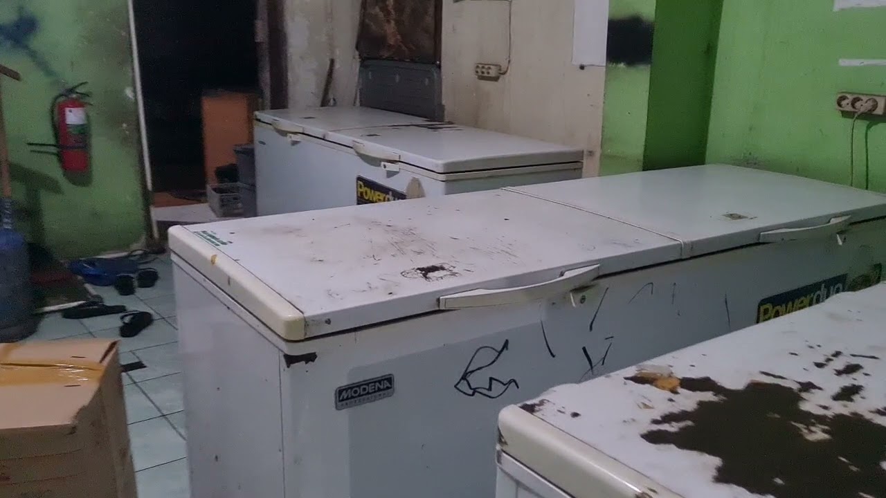 Daging kambing frozen untuk seluruh indonesia | dagingkambing.com - YouTube