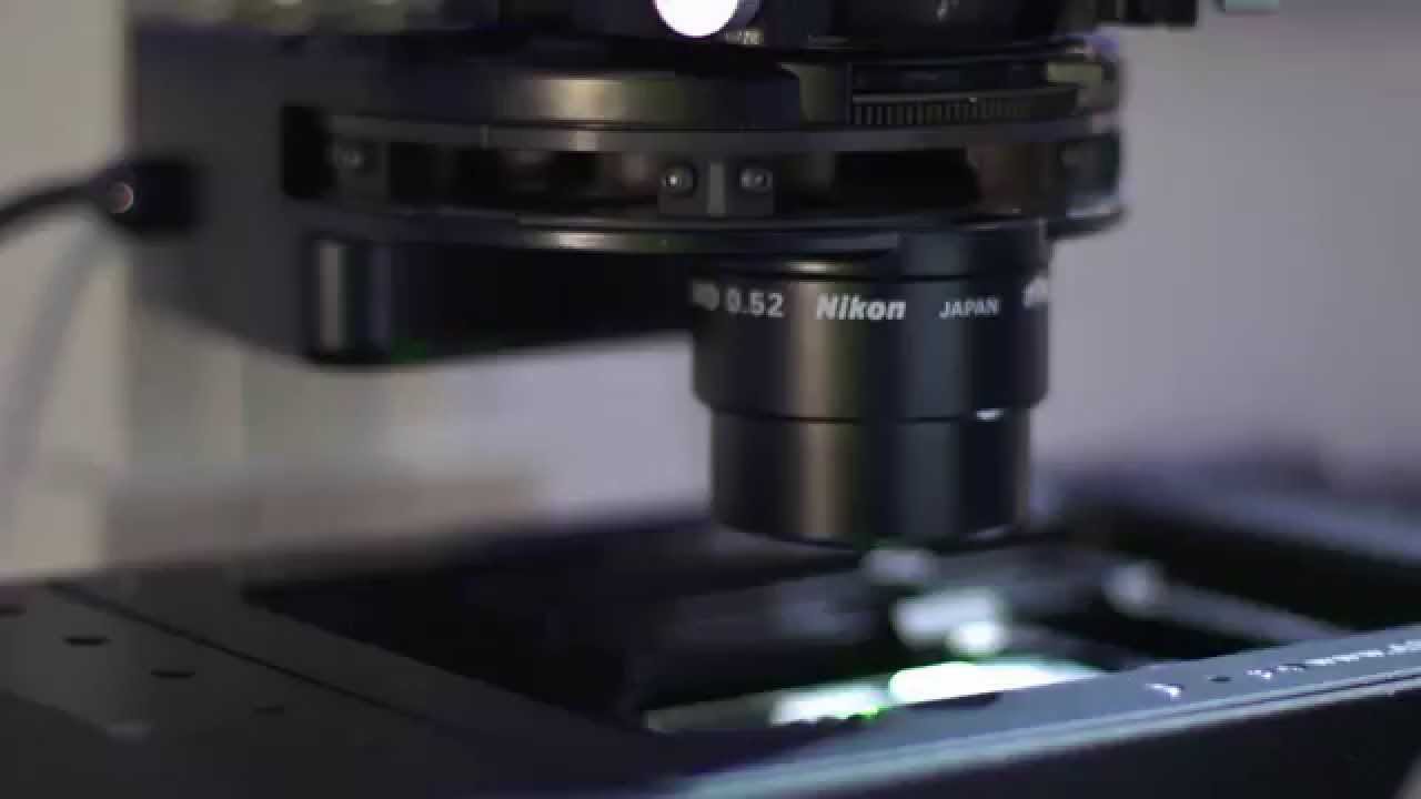 Opterra High-Speed Live Cell Imaging Multipoint Scanning Confocal ...