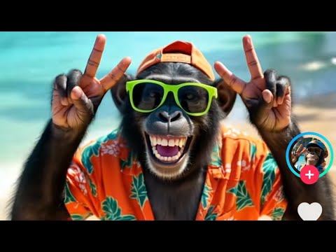 Friday!! 🔥 WOOT WOOT - YouTube