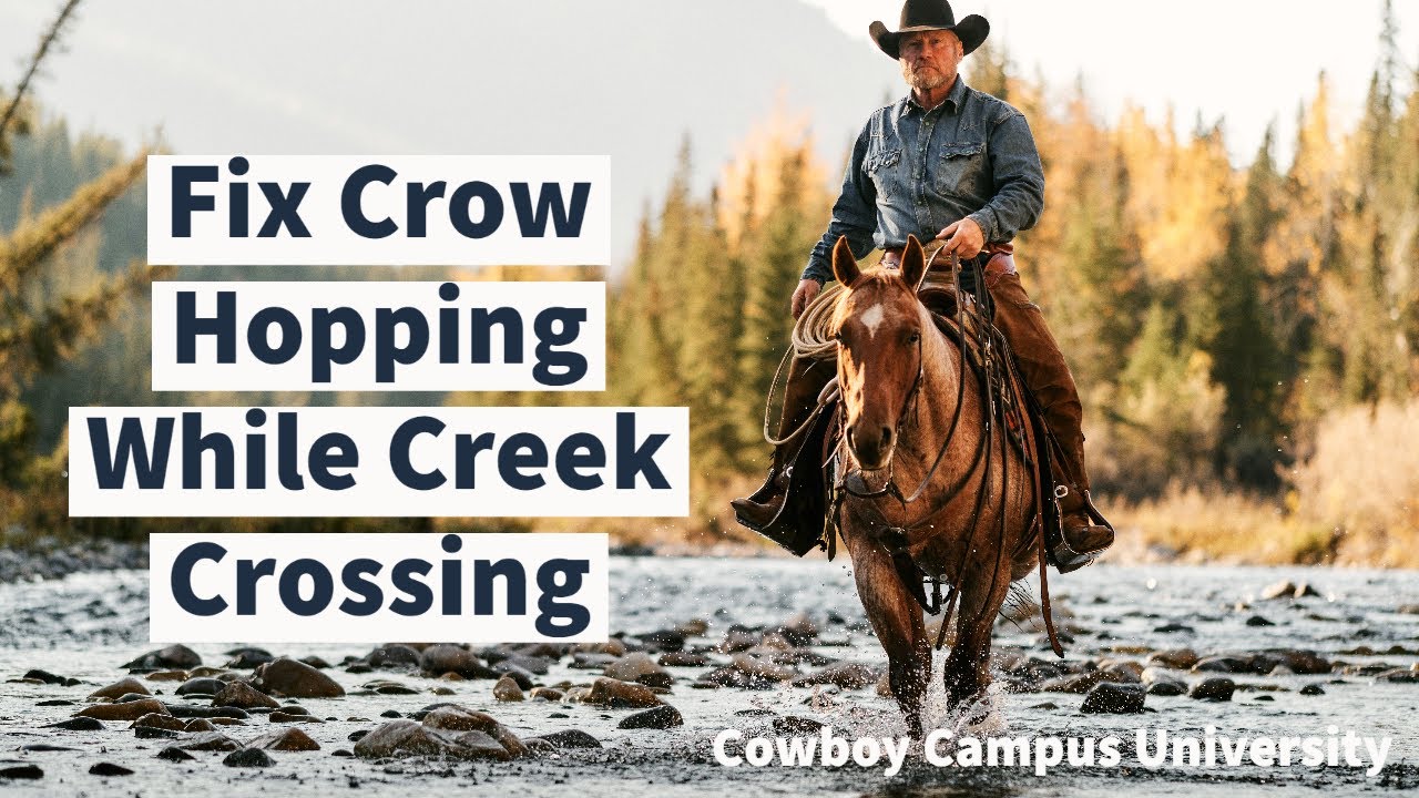 How To Address Your Horse Crow Hopping While Crossing Creeks - YouTube