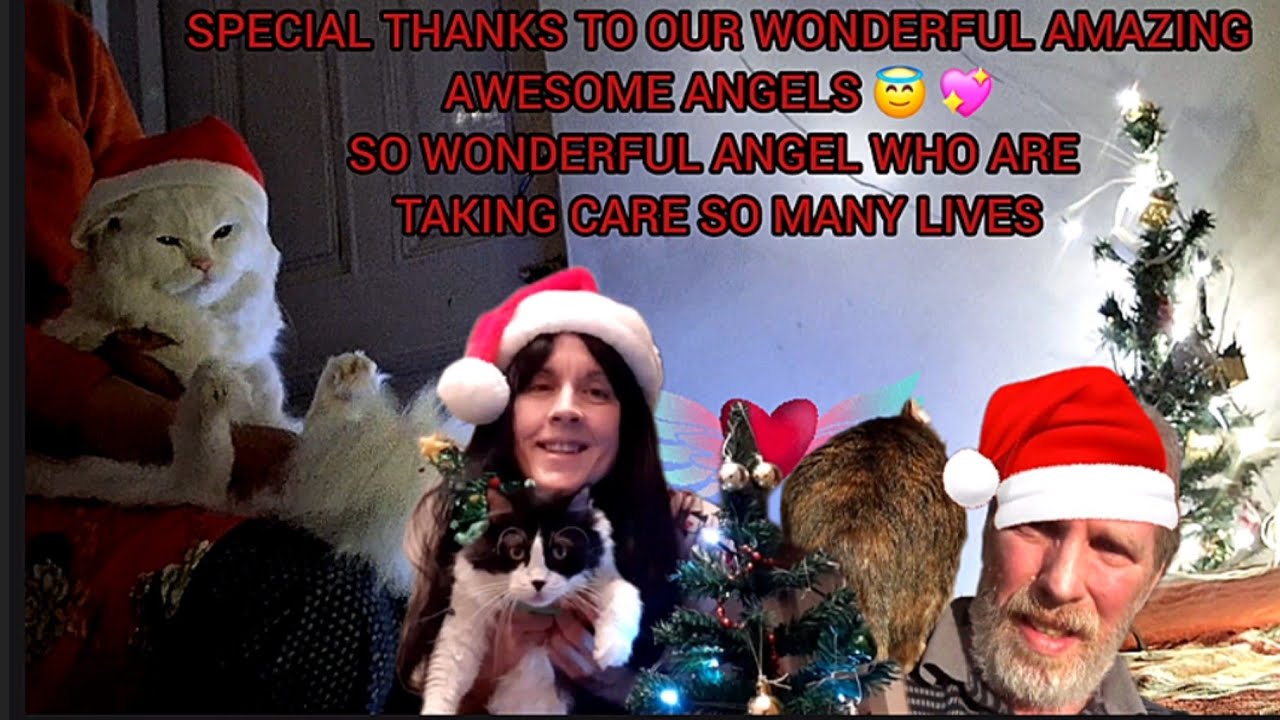 Grace the Cat and Special thanks to our Wonderful Angels Family 🙏🙏🙏 ...