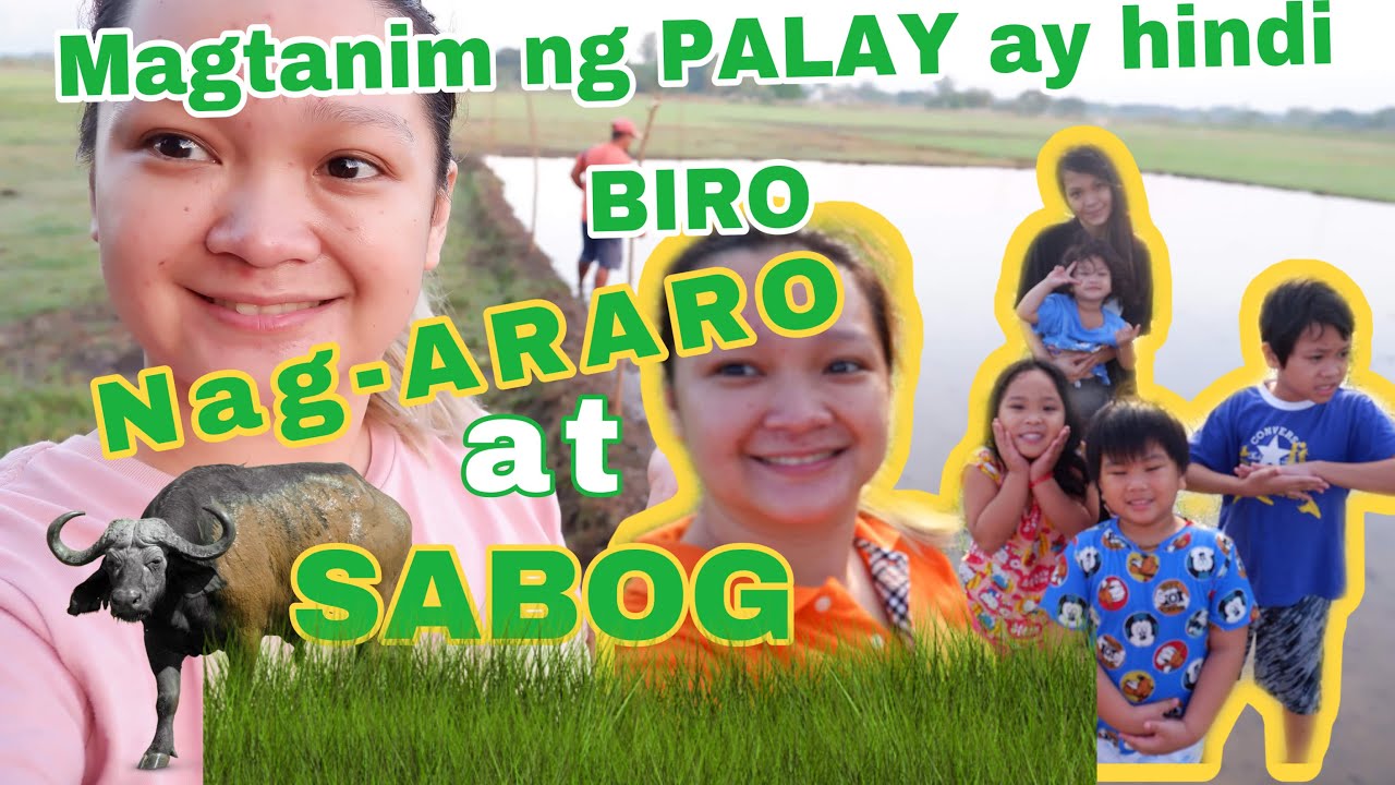 PAGSASAKA SA PROBINSYA| PAG-AARARO AT PAG SASABOG NG BINHI - YouTube