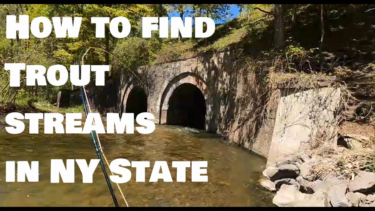 How to find Trout Streams in NY State. Fishing Nine Mile Creek. - YouTube