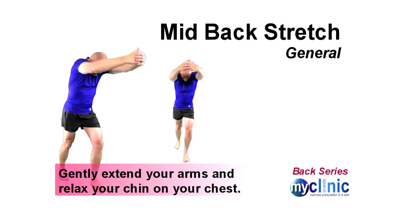 Back Series - Mid Back Stretch - YouTube