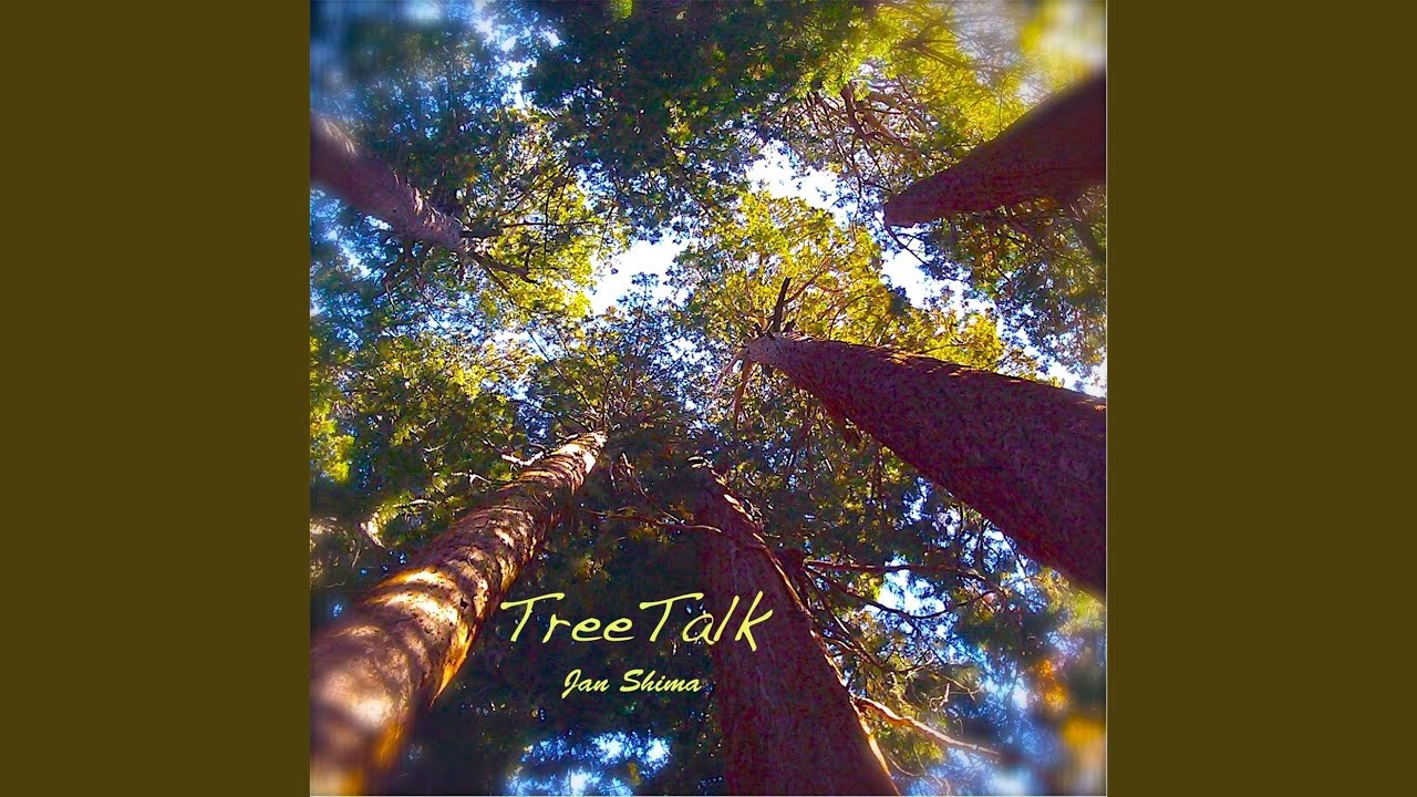 Tree Talk - YouTube