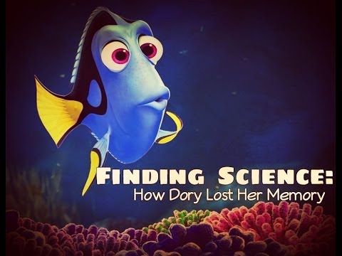 Finding Science: How Dory Lost Her Memory - YouTube