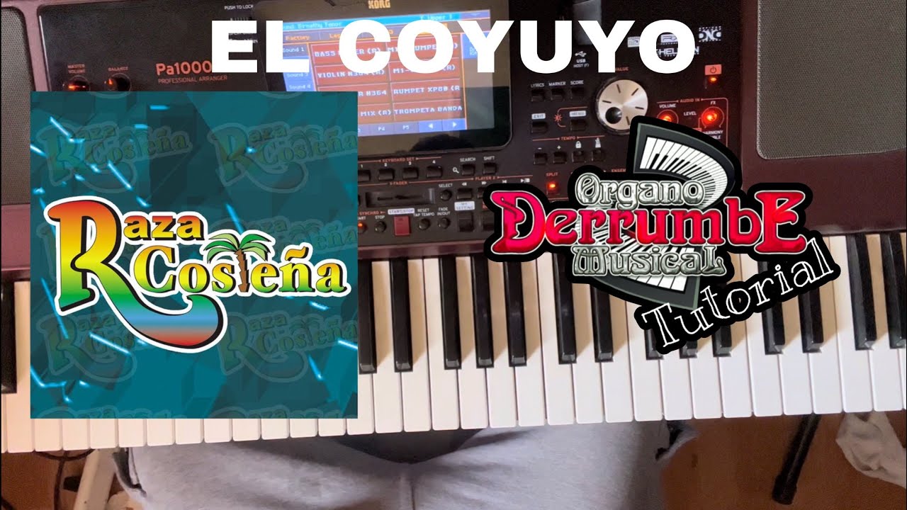 Raza Costeña - El coyuyo Tutorial teclado - YouTube