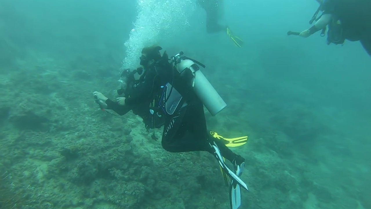 laura diving - YouTube