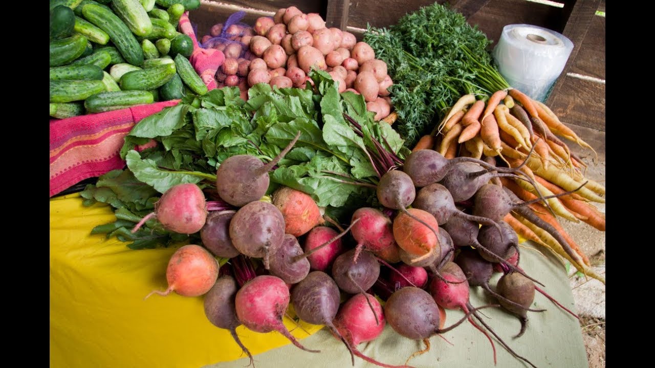 Disaster Food.Survive Food.Survival Preparedness.Emergency Foods ...