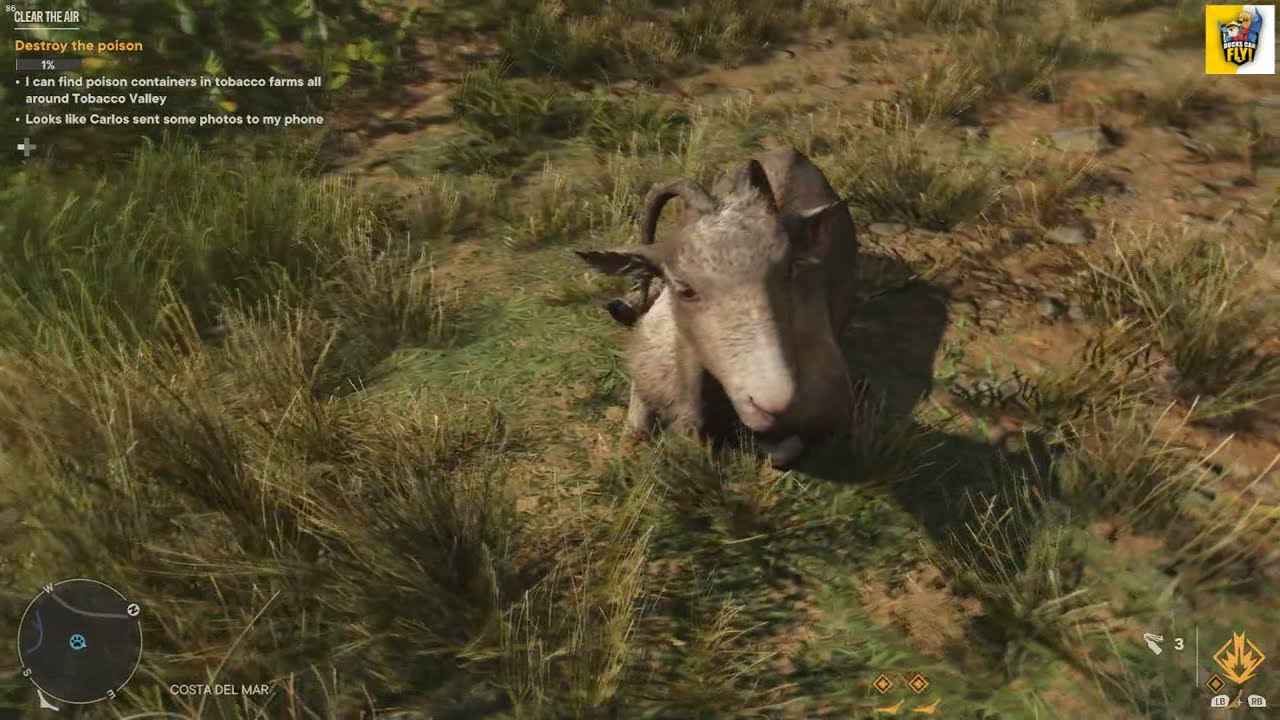 The Animals Of Far Cry 6! (HD RTX 3070 Max Setting!) - YouTube