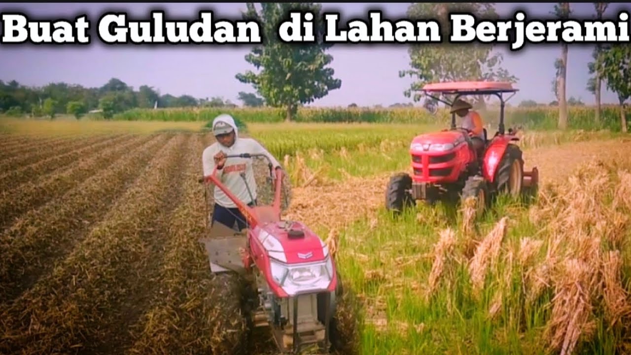 Traktor Sawah Membuat Guludan Jagung di Lahan Berjerami - YouTube