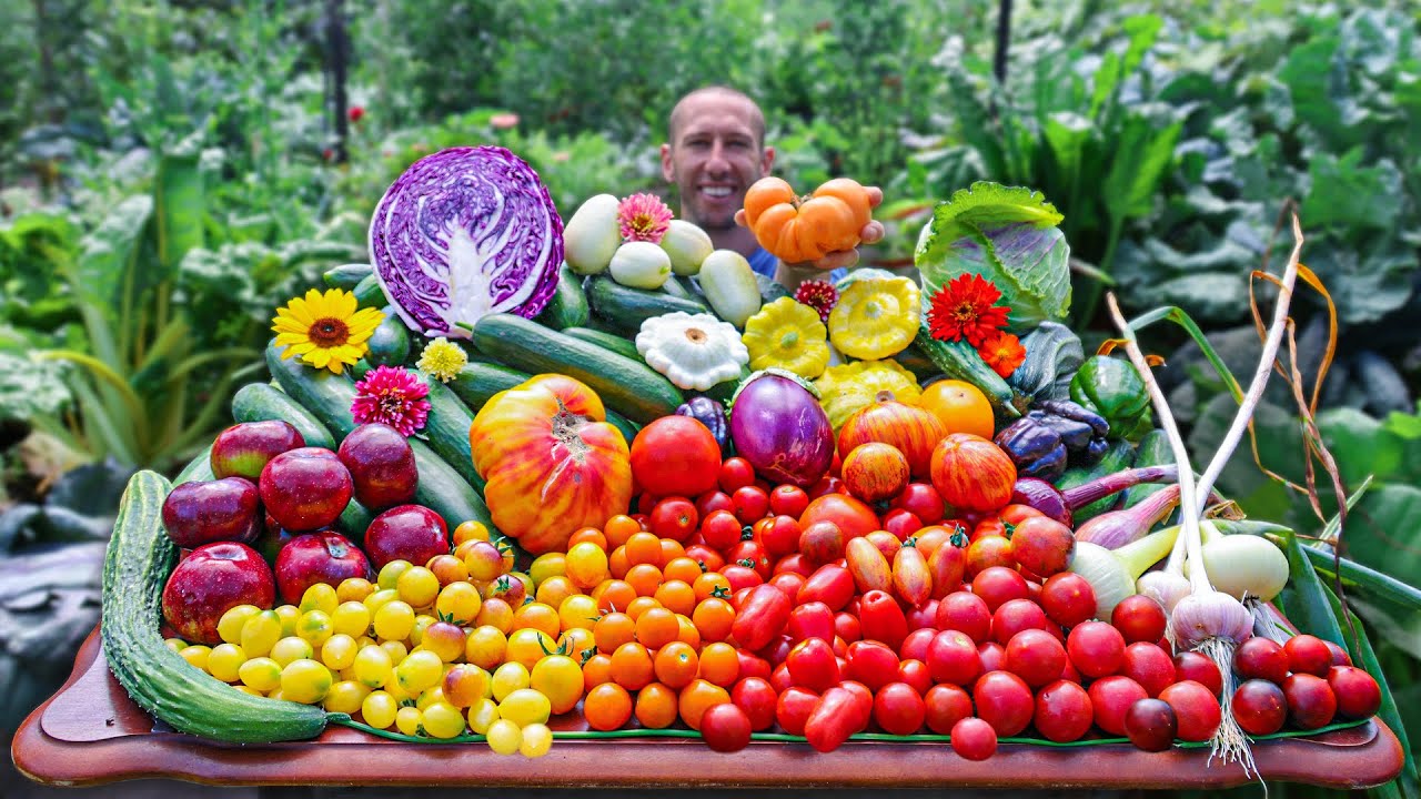 Breathtaking Backyard Gardening Harvest, You Have to See it to Believe ...