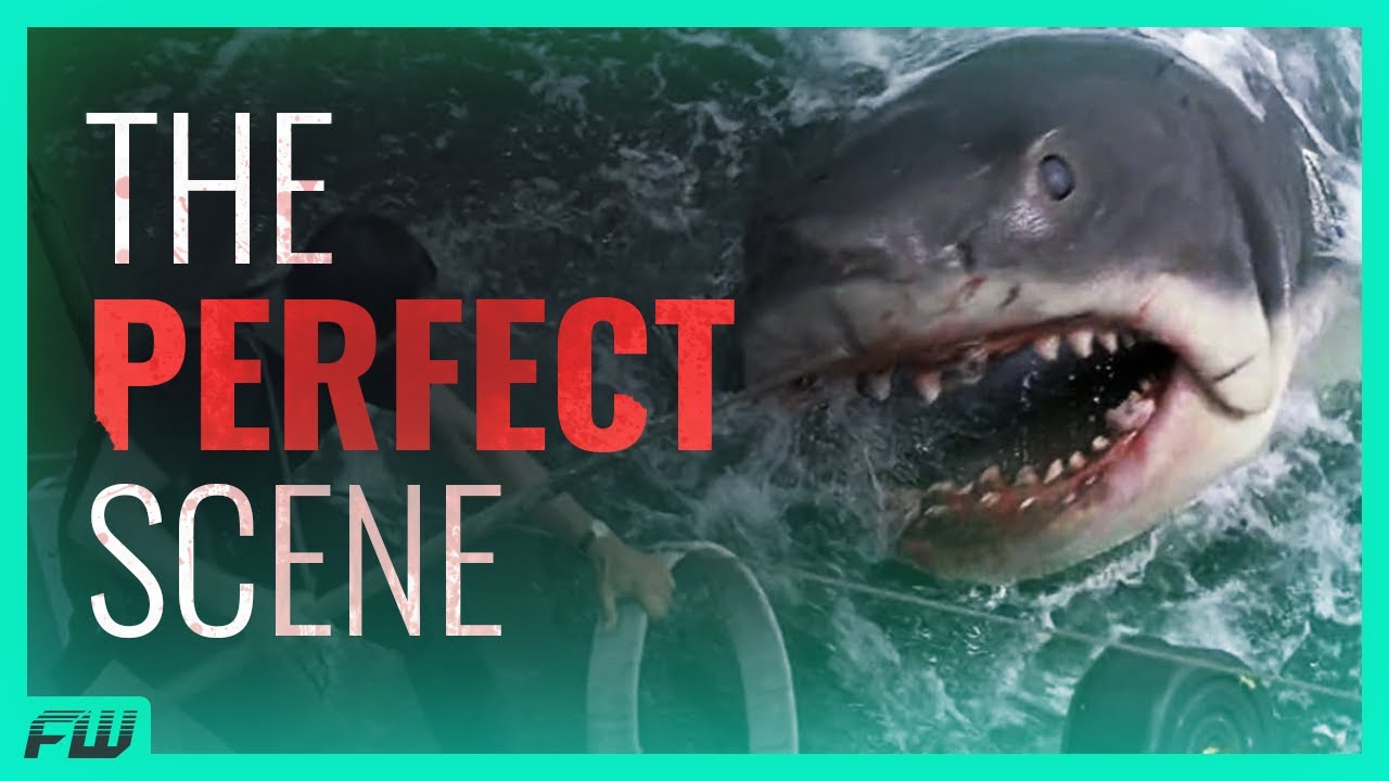 The PERFECT Scene in Jaws | FandomWire Video Essay - YouTube