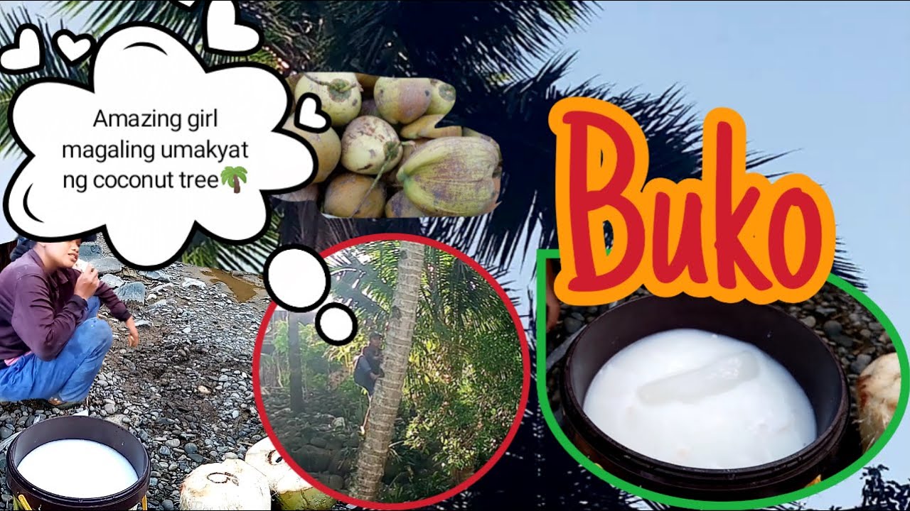 BUKO (coconut) - YouTube