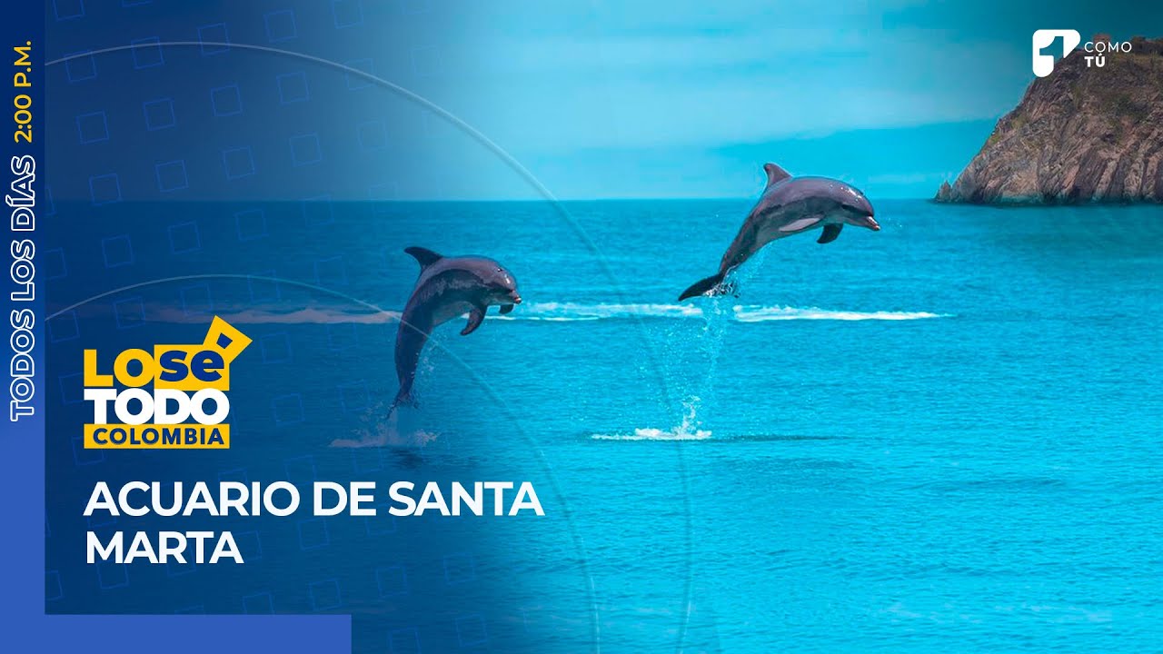 Acuario de Santa Marta ¿Dónde queda y qué se puede disfrutar allí ...